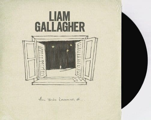 LIAM GALLAGHER All You re Dreaming Of Vinyl Record 7 Inch Warner 2020